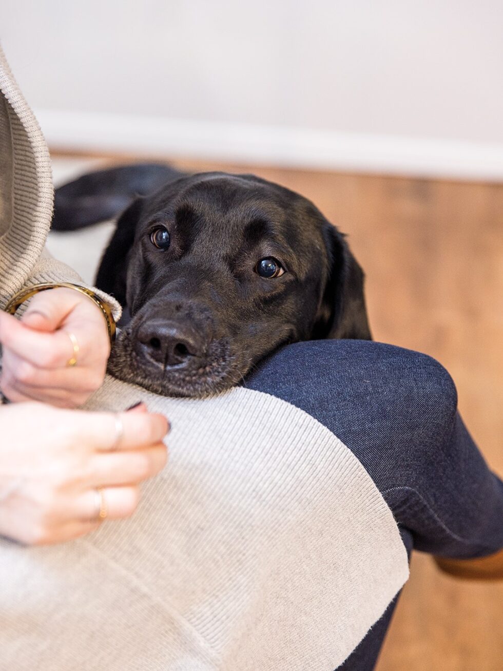 Plymouth Magazine | The best places to dine, shop and explore